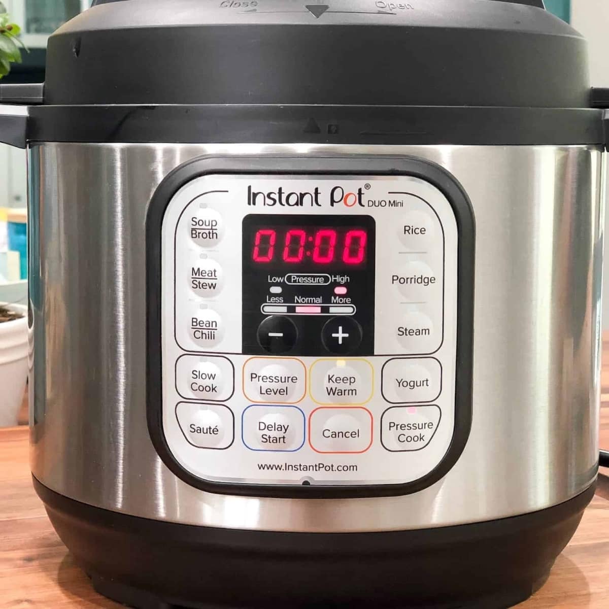 Power Soaking Beans in the Instant Pot - One Happy Housewife