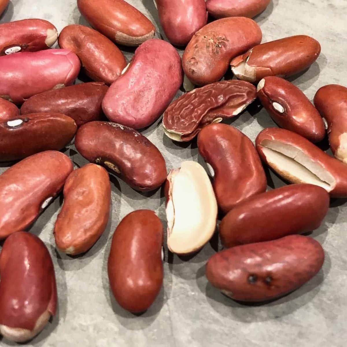 Power Soaking Beans in the Instant Pot - One Happy Housewife