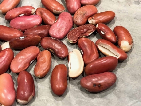 Power Soaking Beans in the Instant Pot - One Happy Housewife