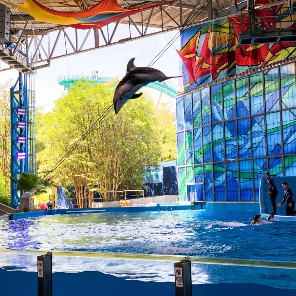 A Day of Fun at SeaWorld San Antonio - One Happy Housewife