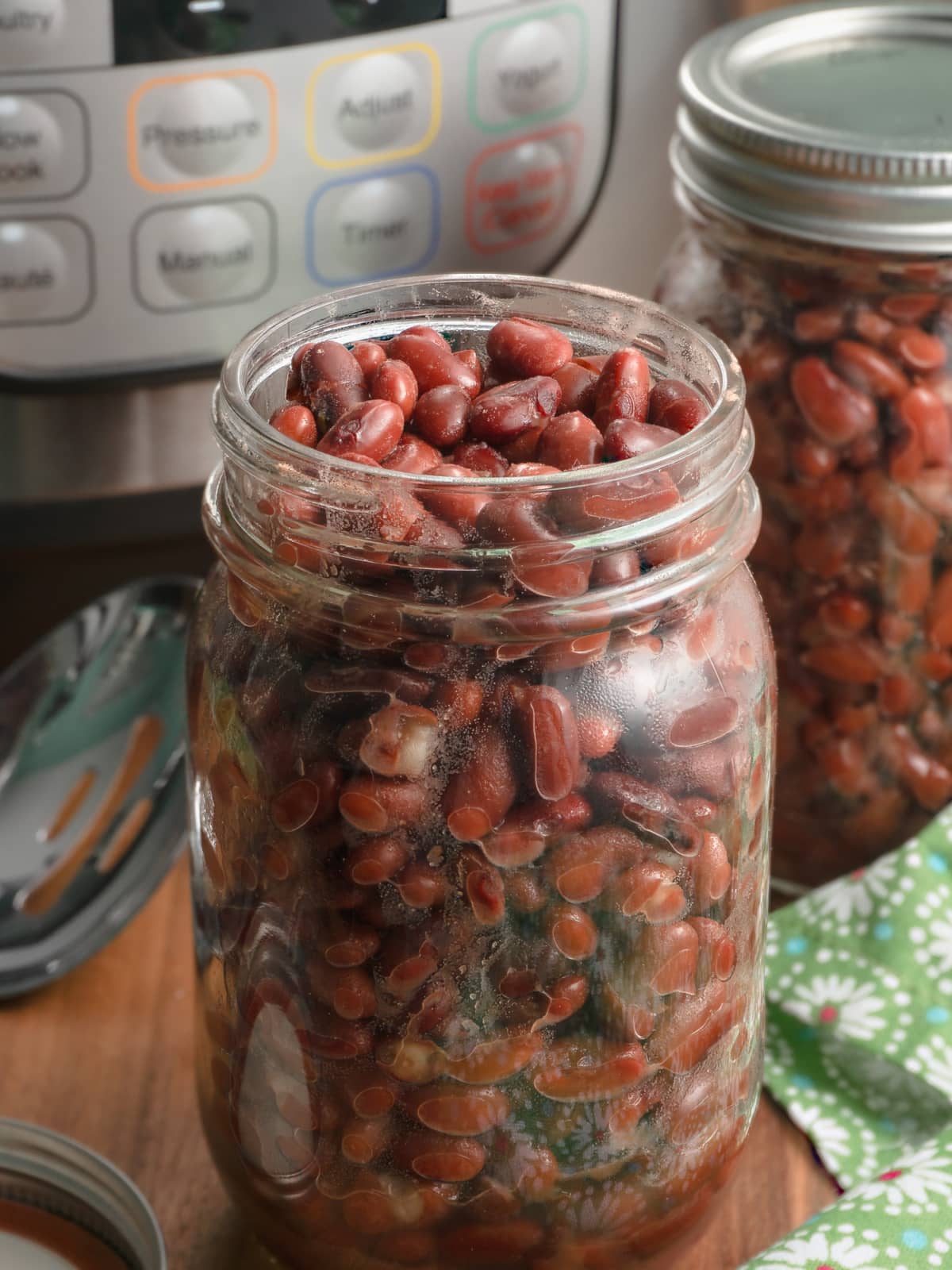 Instant Pot Red Beans (Authentic Honduran Recipe) - One Happy Housewife