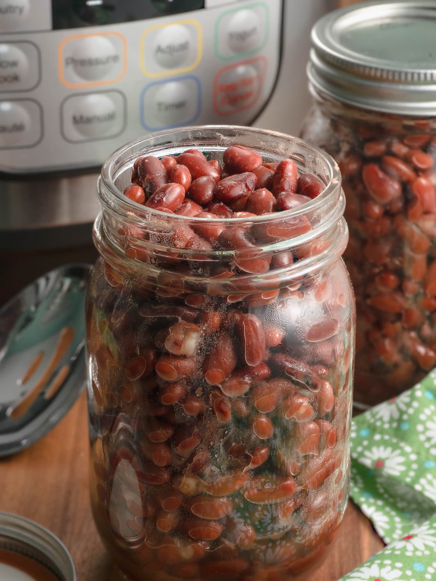 Instant Pot Red Beans (Authentic Honduran Recipe) - One Happy Housewife